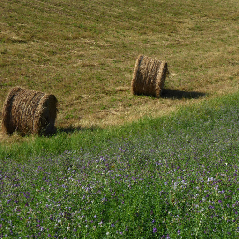 Bonnefield | Farmland for Farming.